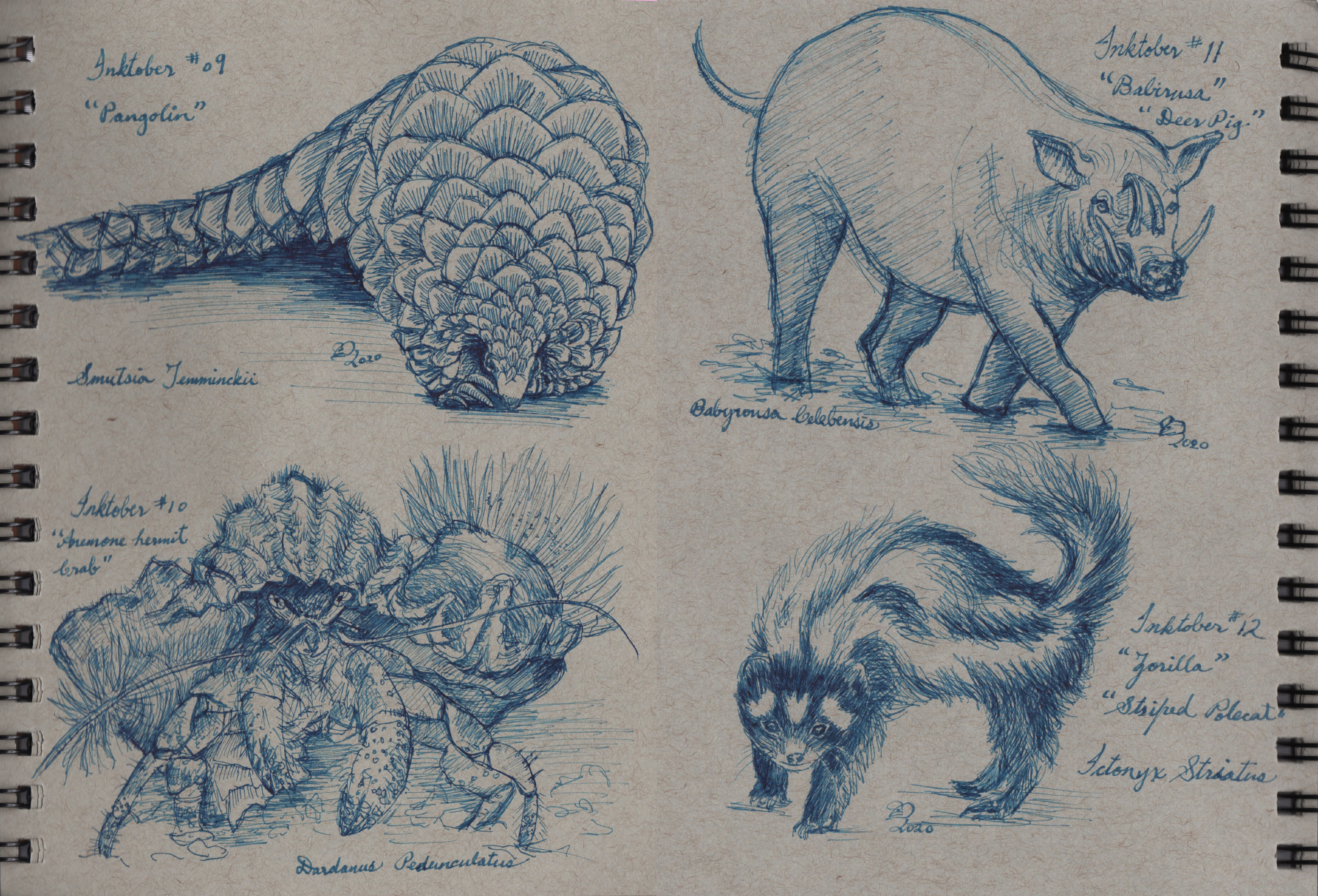 Journey of Art – Marty Hon – Spirit Mouse » Sketches